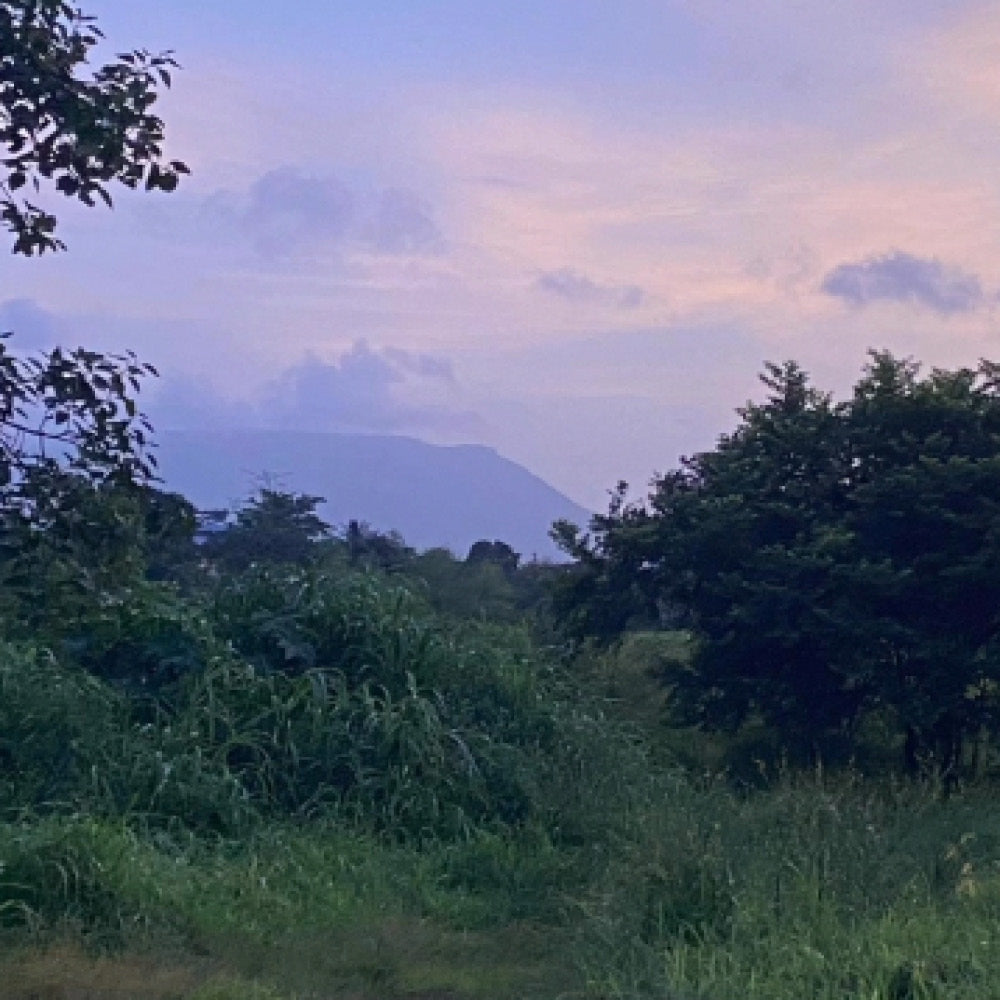 Simple Ways to Calm Your Inner Negative Chatter: A Self-Care Guide ...